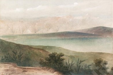 Lear Edward - Art Lexicon